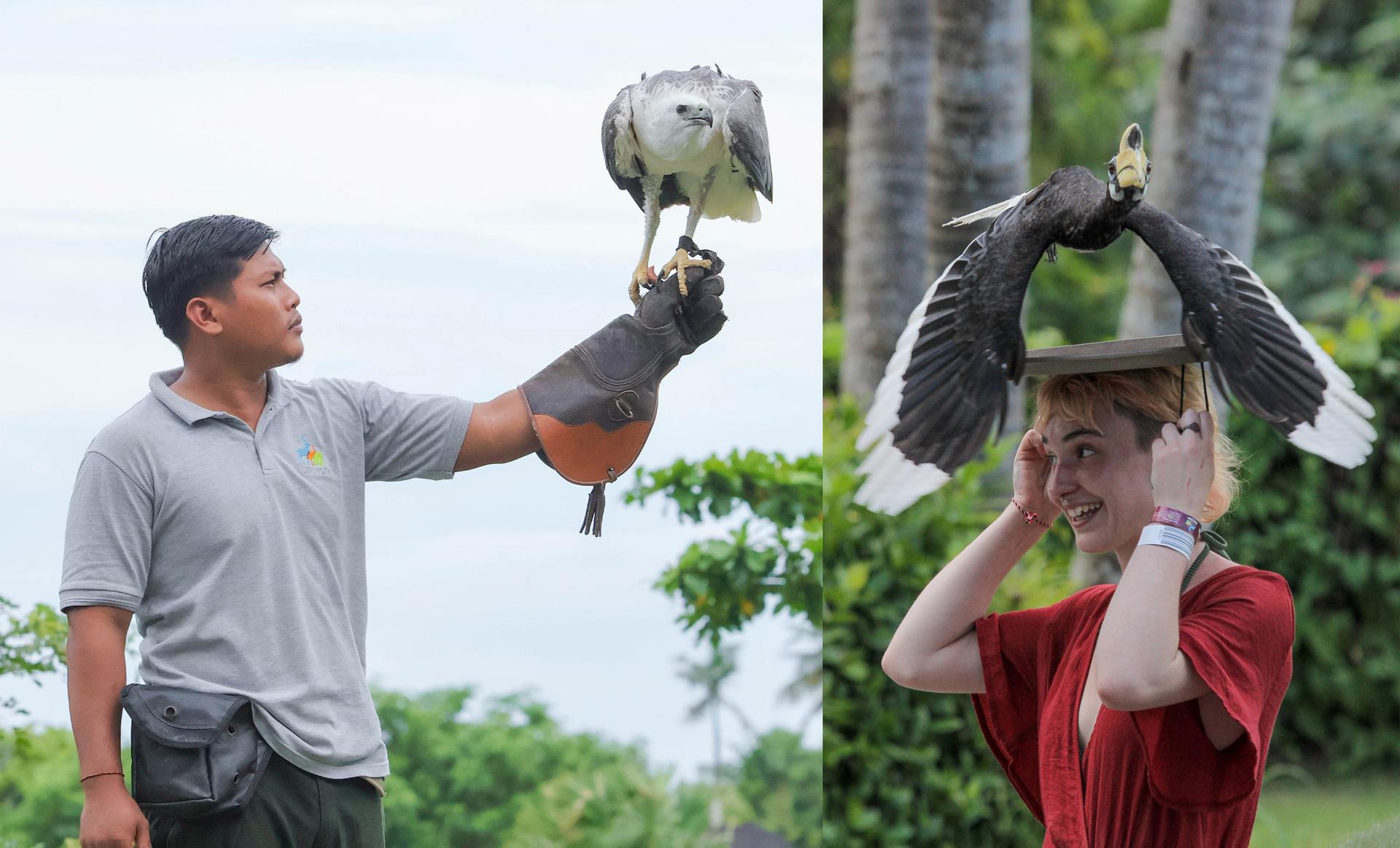 Bird Presentation at Kampung Sumatra Stage (02.30 - 02.50 PM)